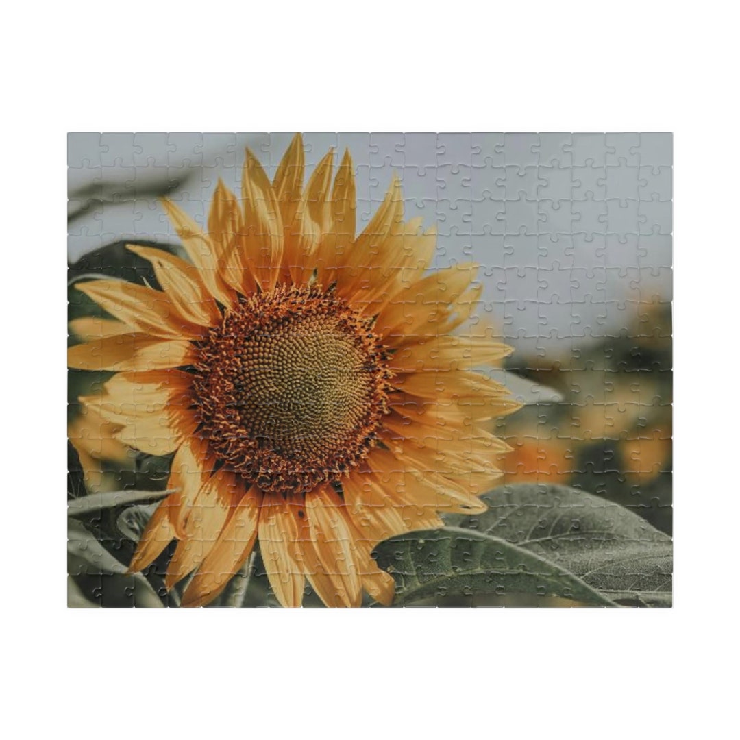 Sunflower Jigsaw Puzzle (110, 252, 520, 1014-piece), Floral Puzzle ...