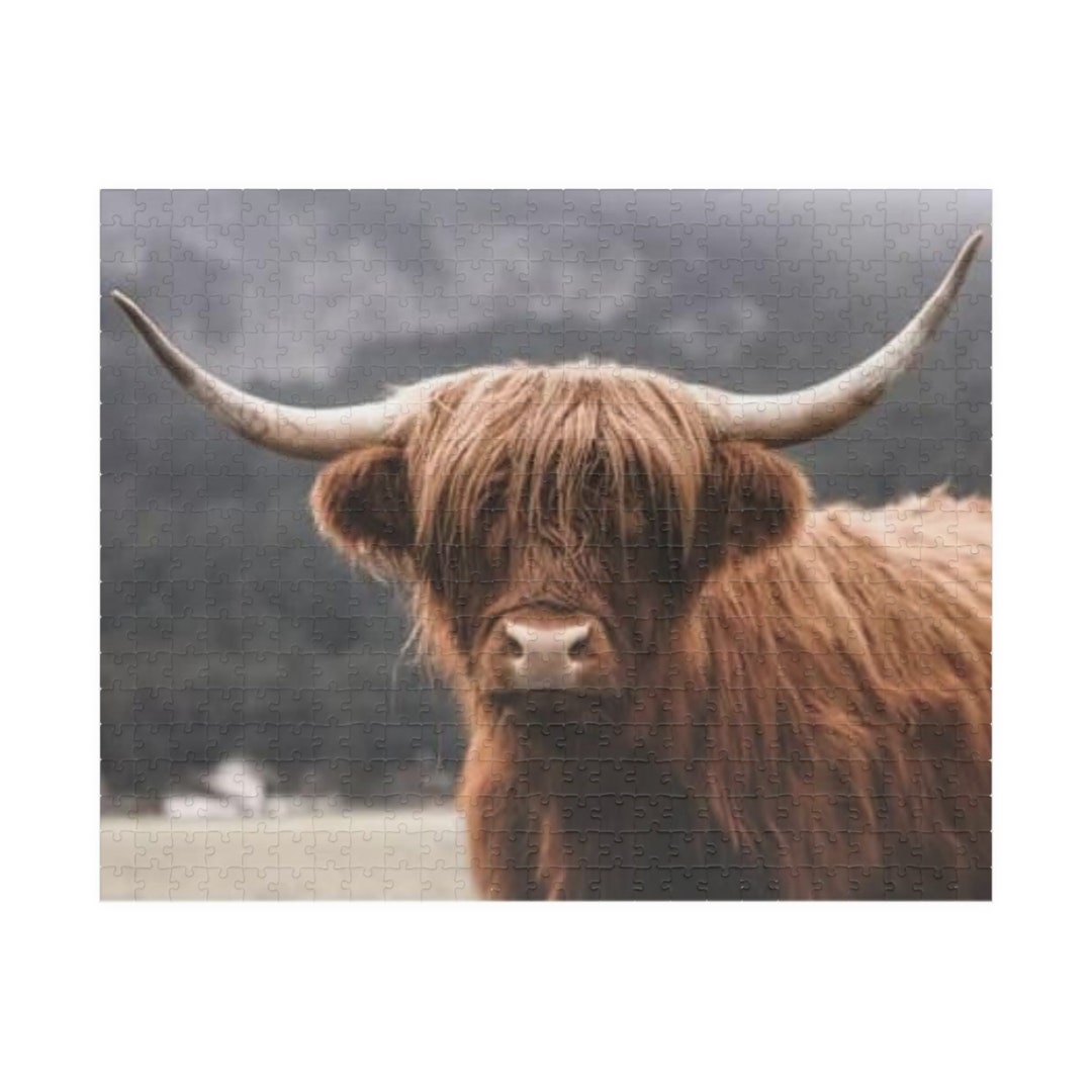 Highland Cow Jigsaw Puzzle (110, 252, 520, 1014-piece), Highland Cow ...
