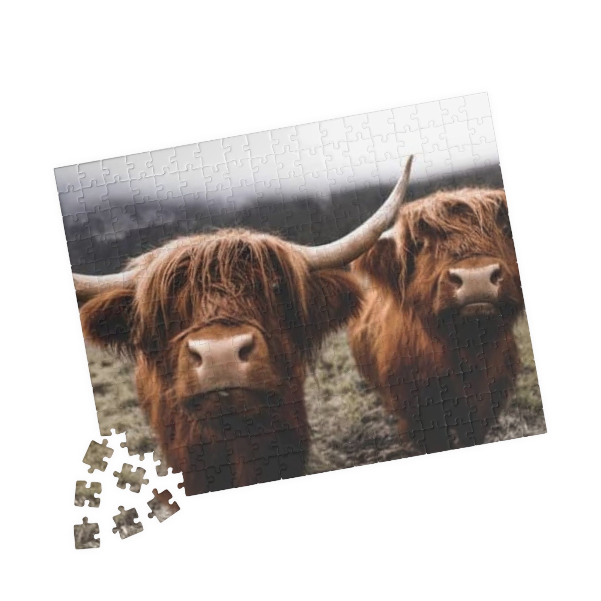 Highland Cows Puzzle 110, 252, 520, 1014-piece, Jigsaw Puzzle, Cow ...