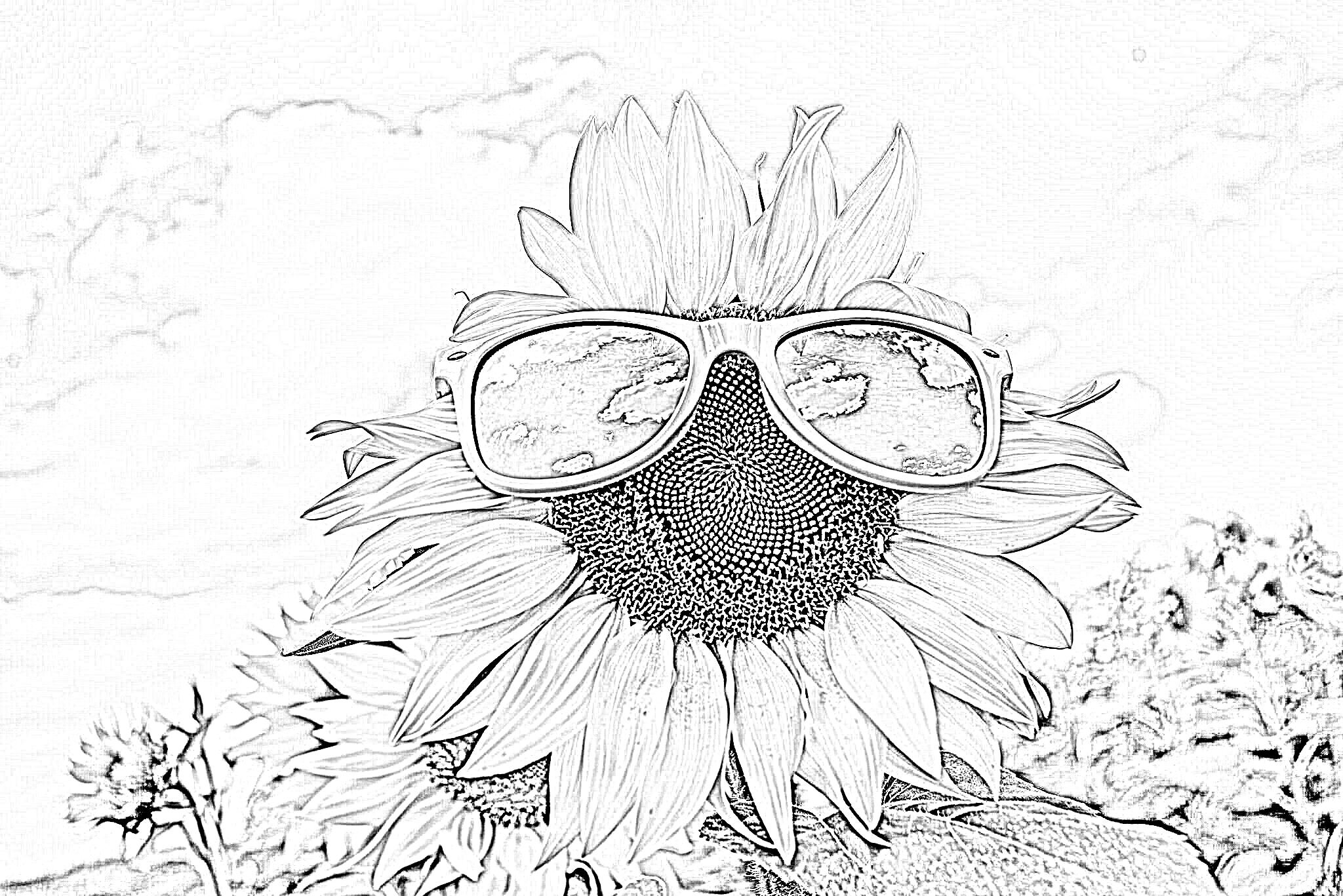 A Sunflower Coloring Book for Kids Summer Vibes. - Etsy