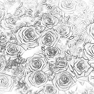 Beautiful Rose Flowers Coloring Book for Children/kids. - Etsy