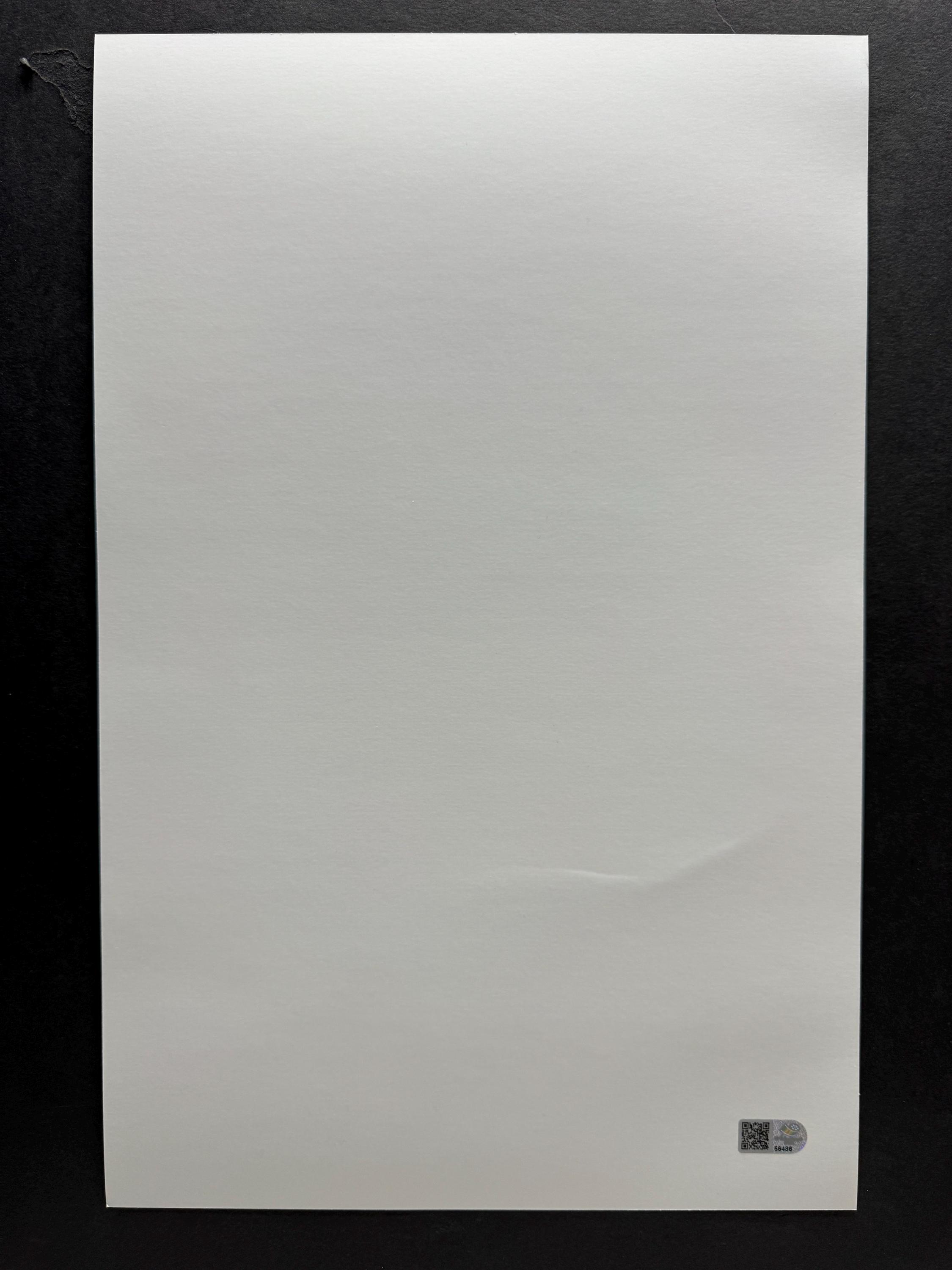 CADDYSHACK Signed Movie Poster by 3 Castmembers - COA Authenticated ...