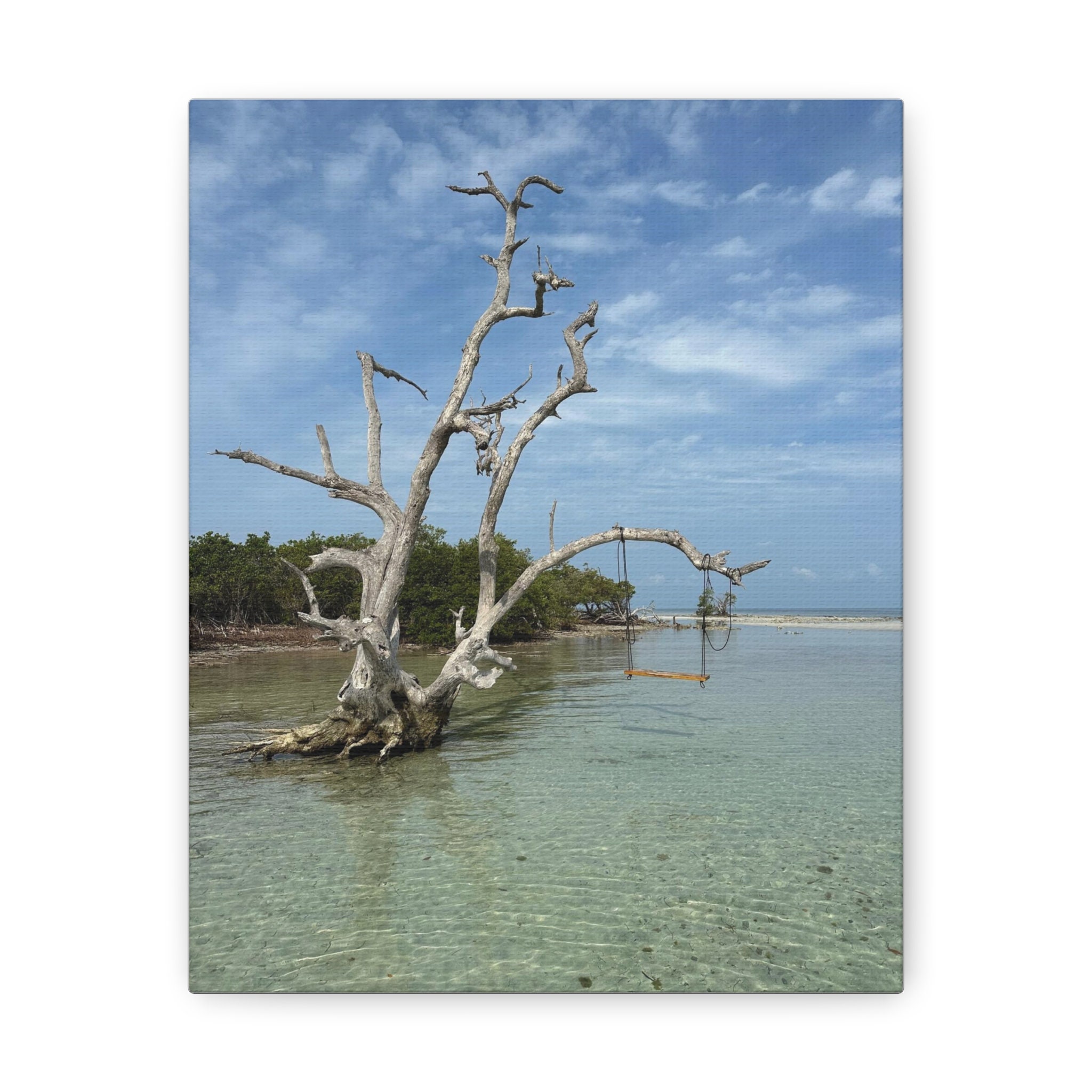 Key West Snipes Swing Canvas, Key West Famous Swing, Key West Gift - Etsy
