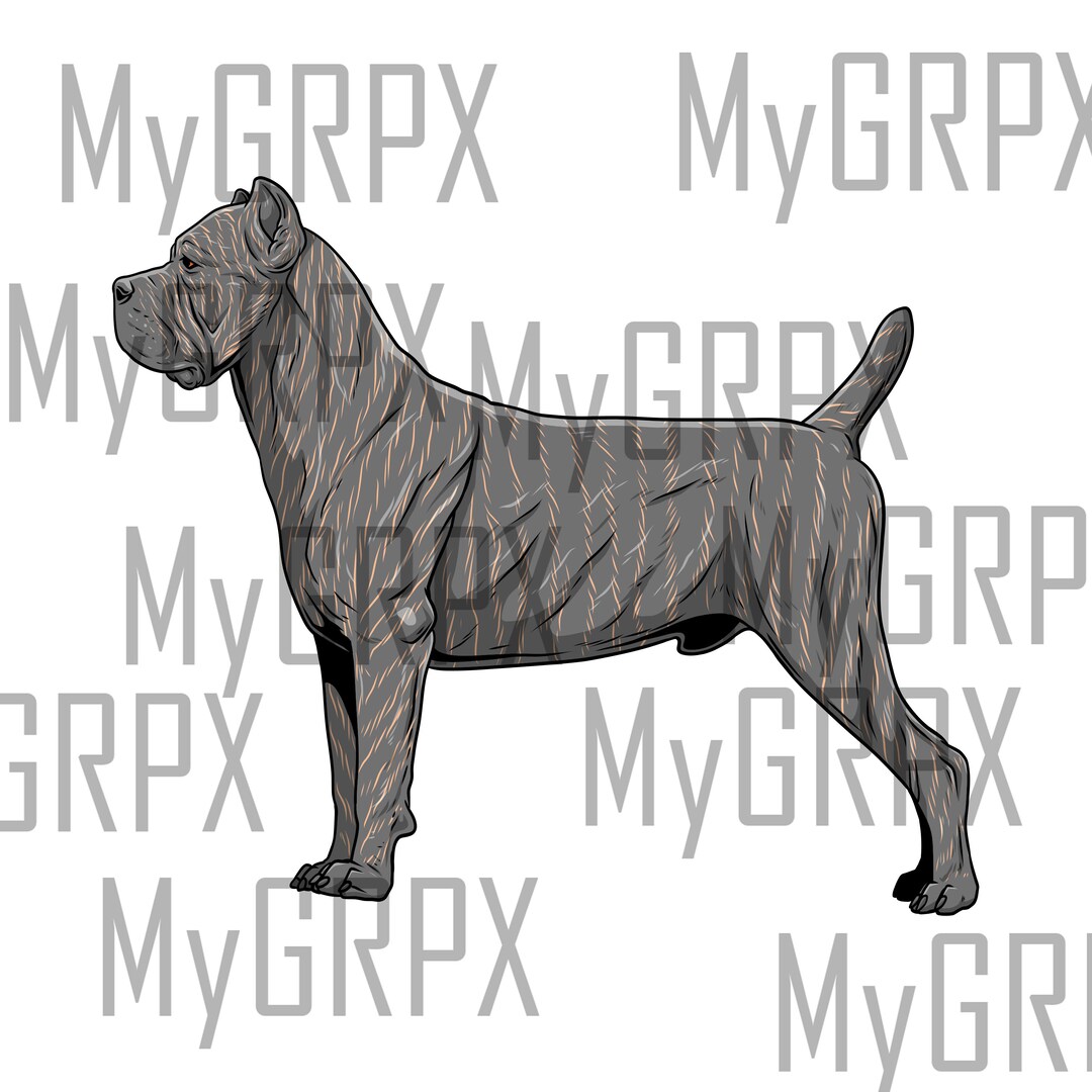 Cane Corso EPS PDF 1 - Etsy