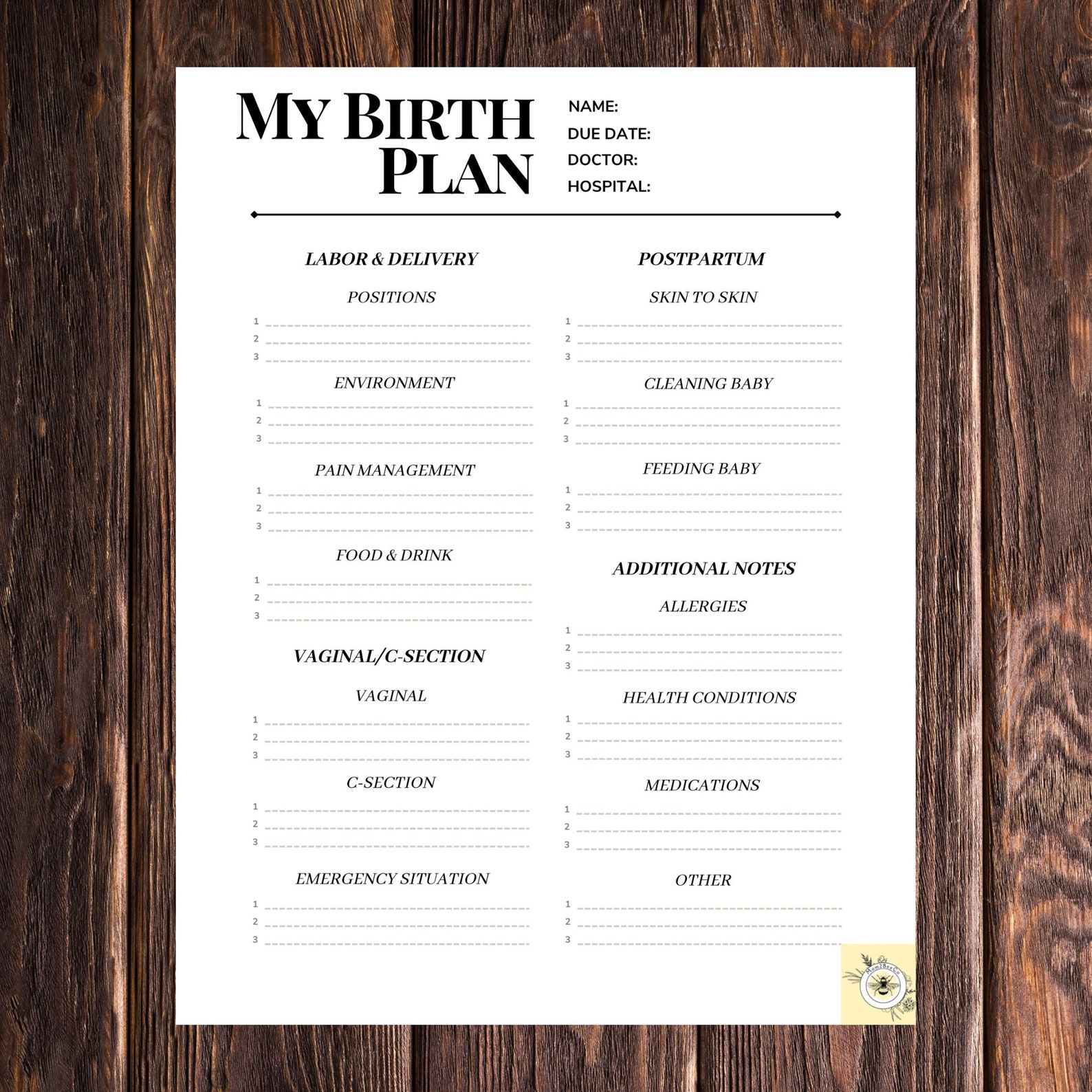 Birth Plan Template | Printable Birthing Plan | Labor & Delivery ...