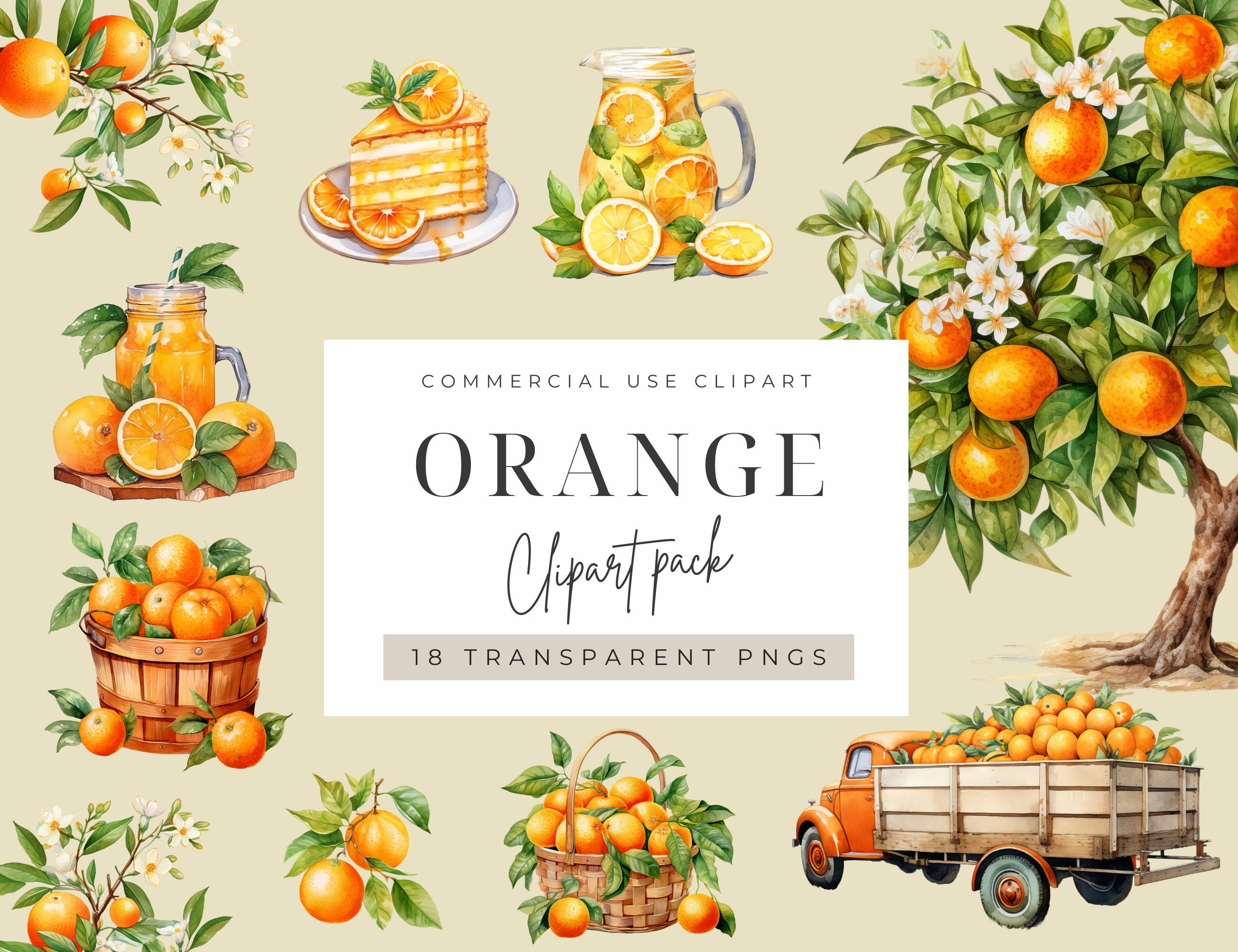 Watercolor Orange Clipart, Citrus Clipart, Fruit Clipart, Transparent ...