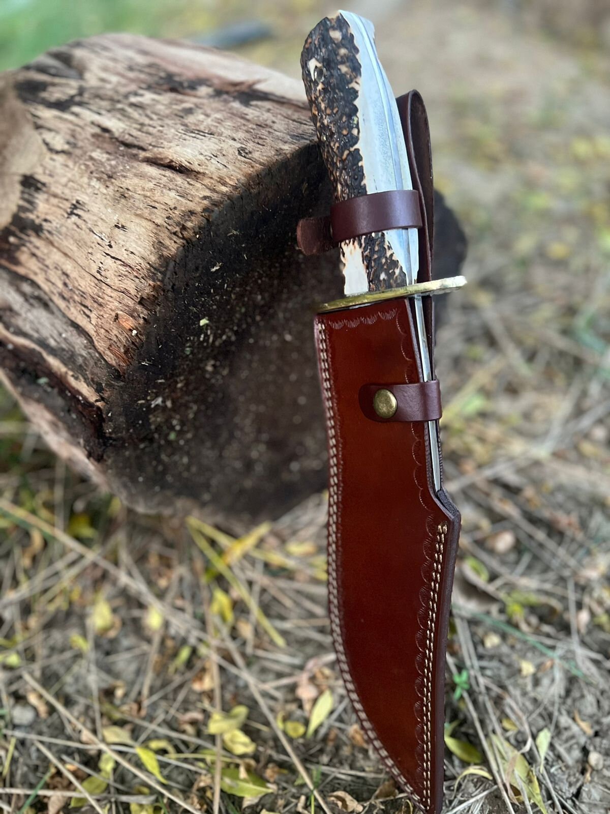 Handmade Hunting Bowie Knife ,stag Antler Full Tang Bowie Knife ,mirror ...