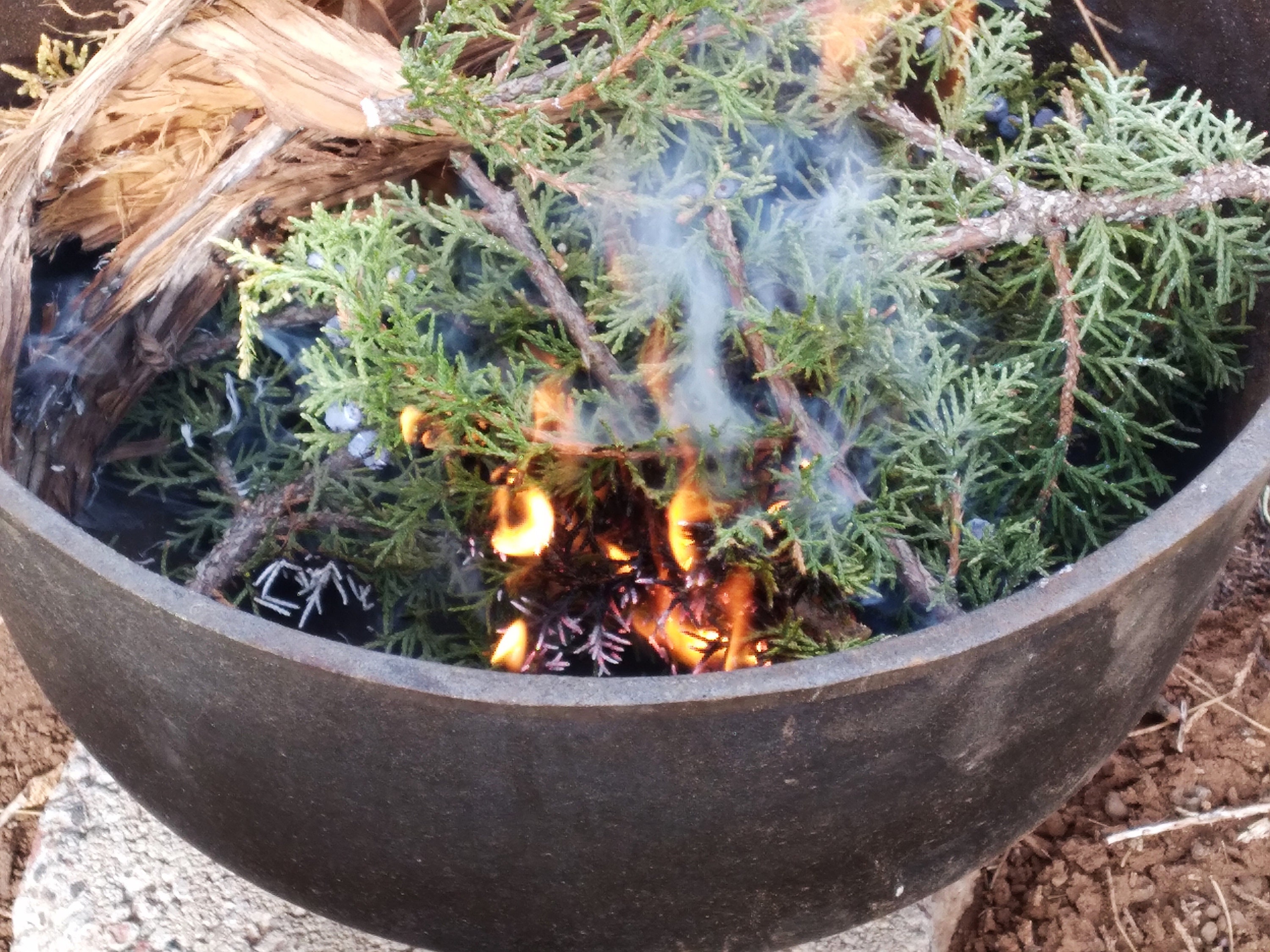 Juniper Ash, 40gm, Over 1/2 Cup Compressed Ash, Culinary - Etsy