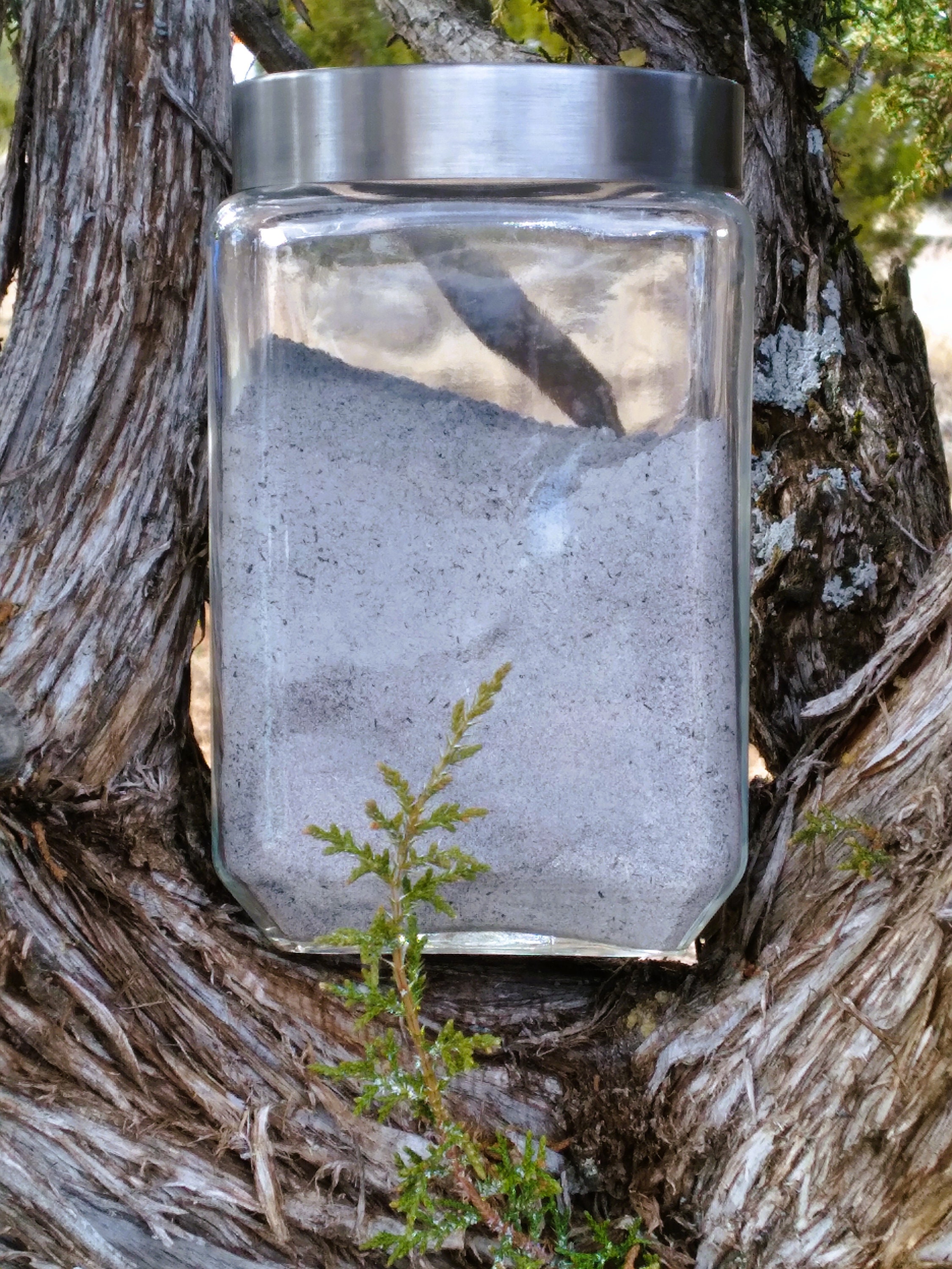 Juniper Ash, 40gm, Over 1/2 Cup Compressed Ash, Culinary - Etsy
