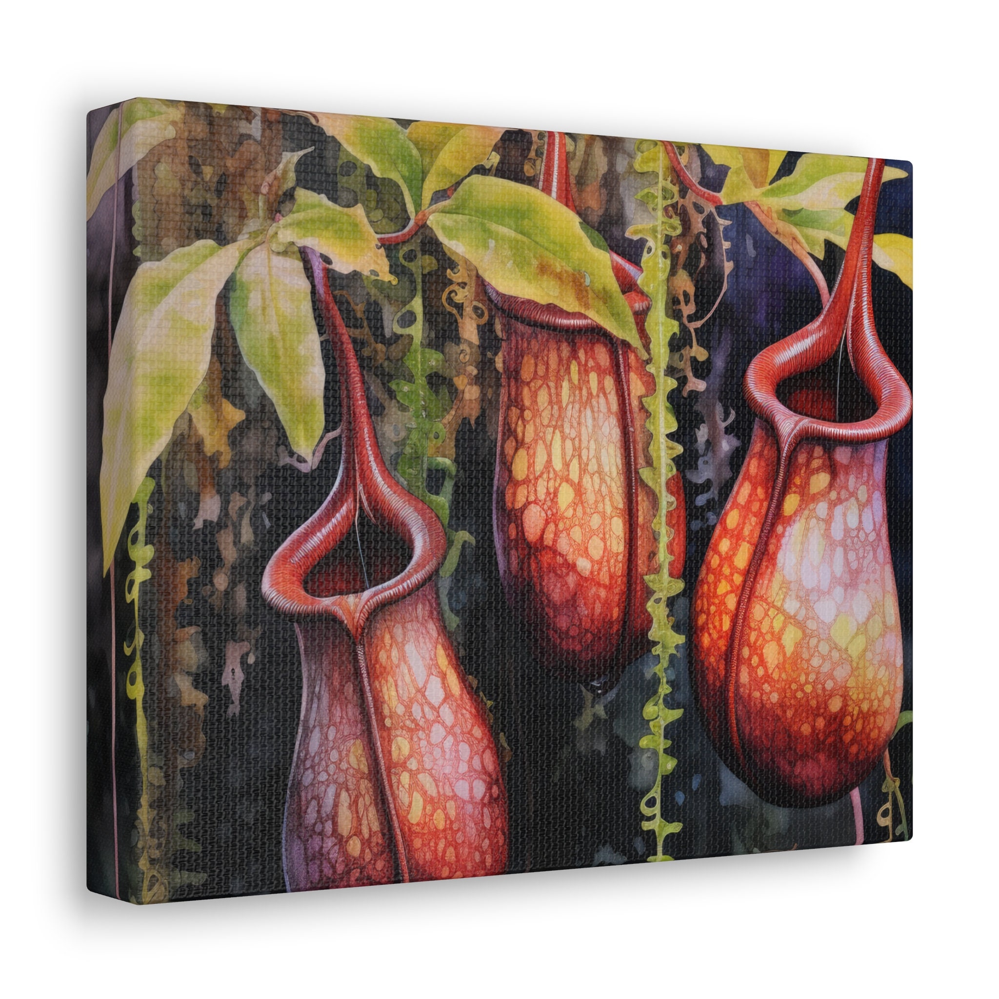 Canvas Wrap Pitcher Plants Watercolor Painting - Etsy
