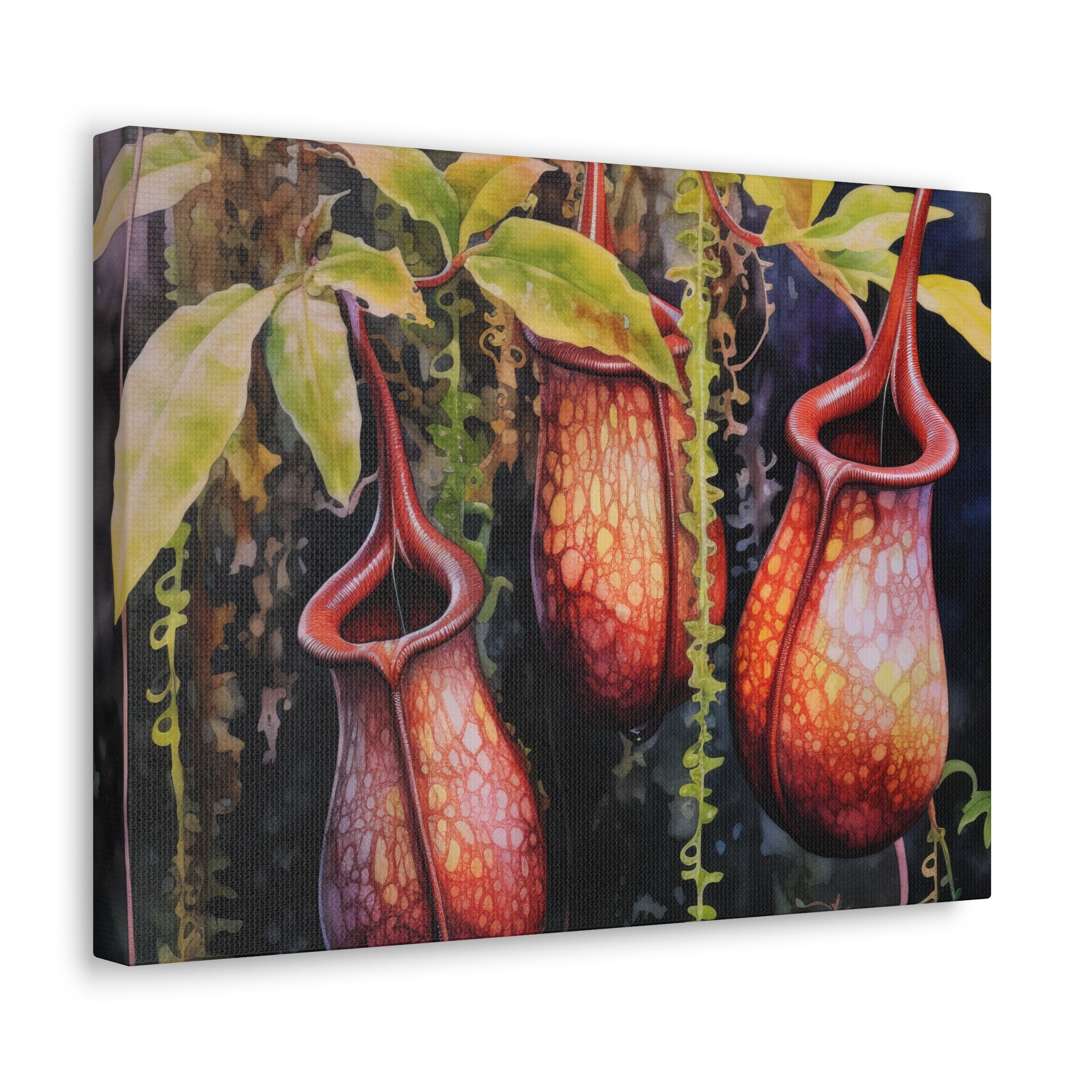 Canvas Wrap Pitcher Plants Watercolor Painting - Etsy