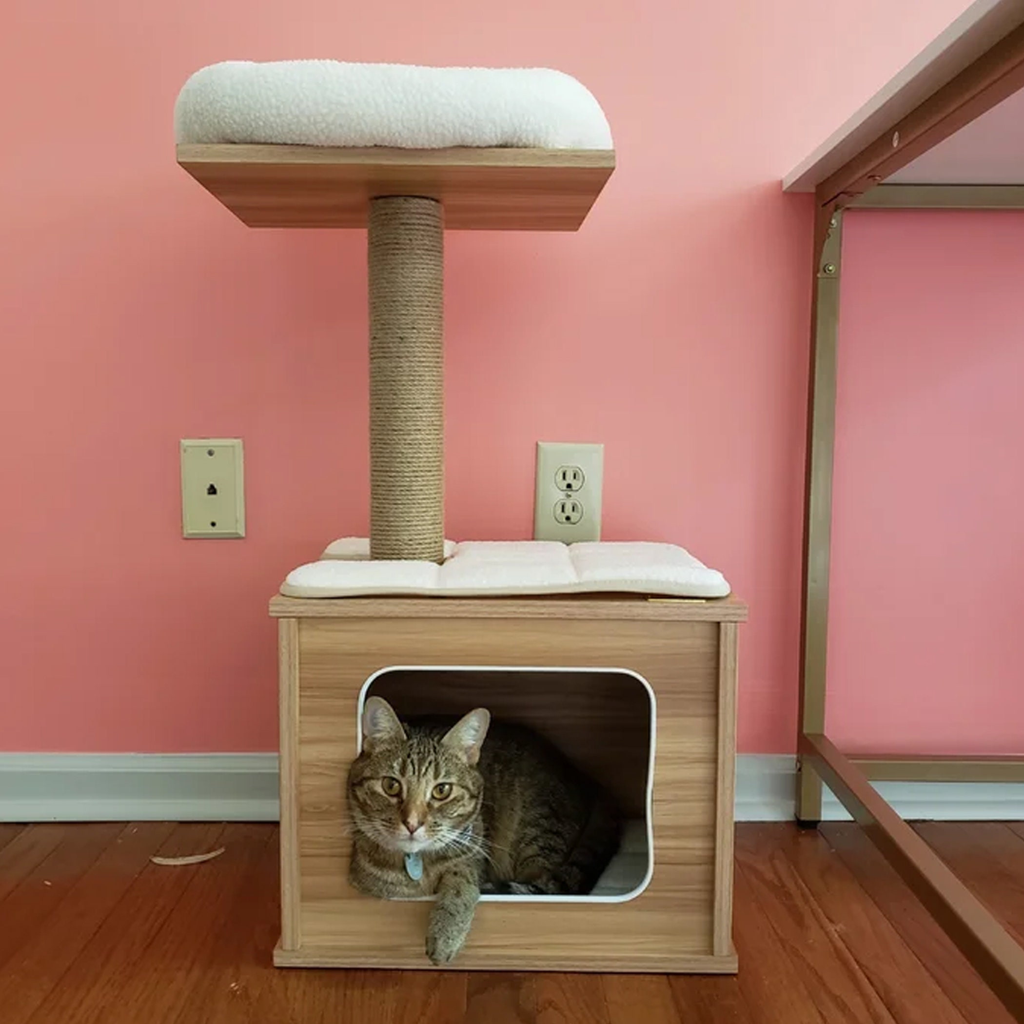 30 Luxury Cat Tree With Condo Cat Climbing Tree Modern - Etsy
