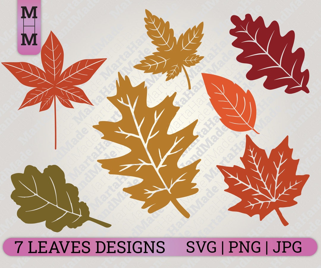 Fall Leaves Svg, Fall svg, Fall leaf svg bundle, Autumn svg, Fall png ...