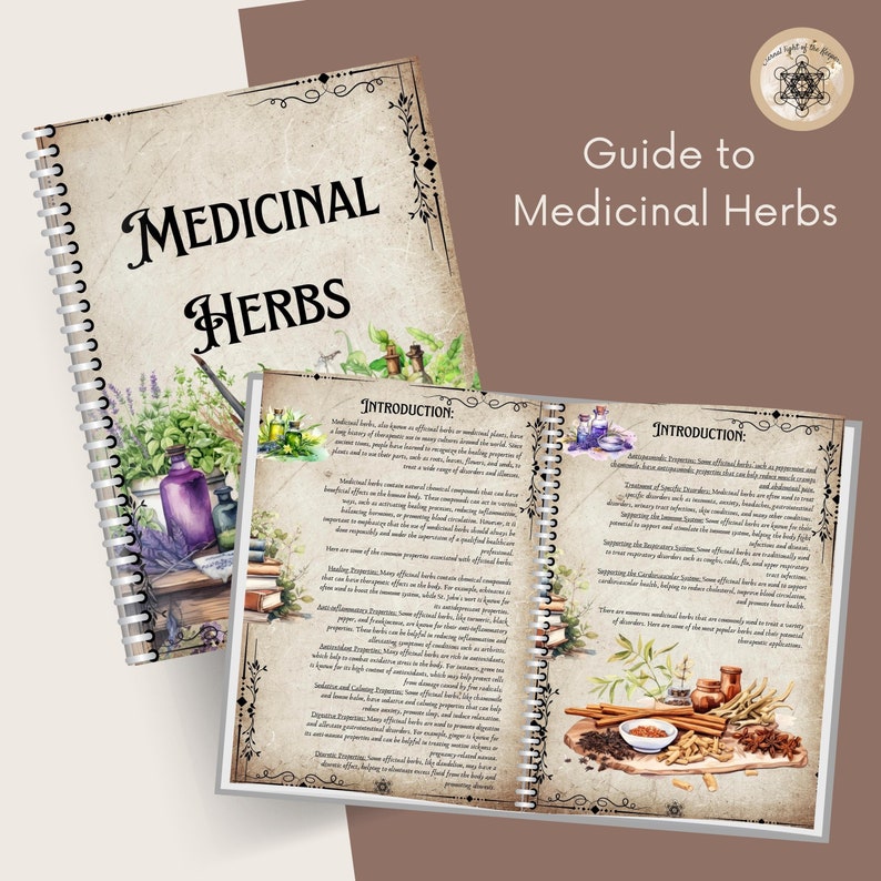 Printable Herbal Medicine Guide: A4 Herb Remedies (PDF). - Etsy
