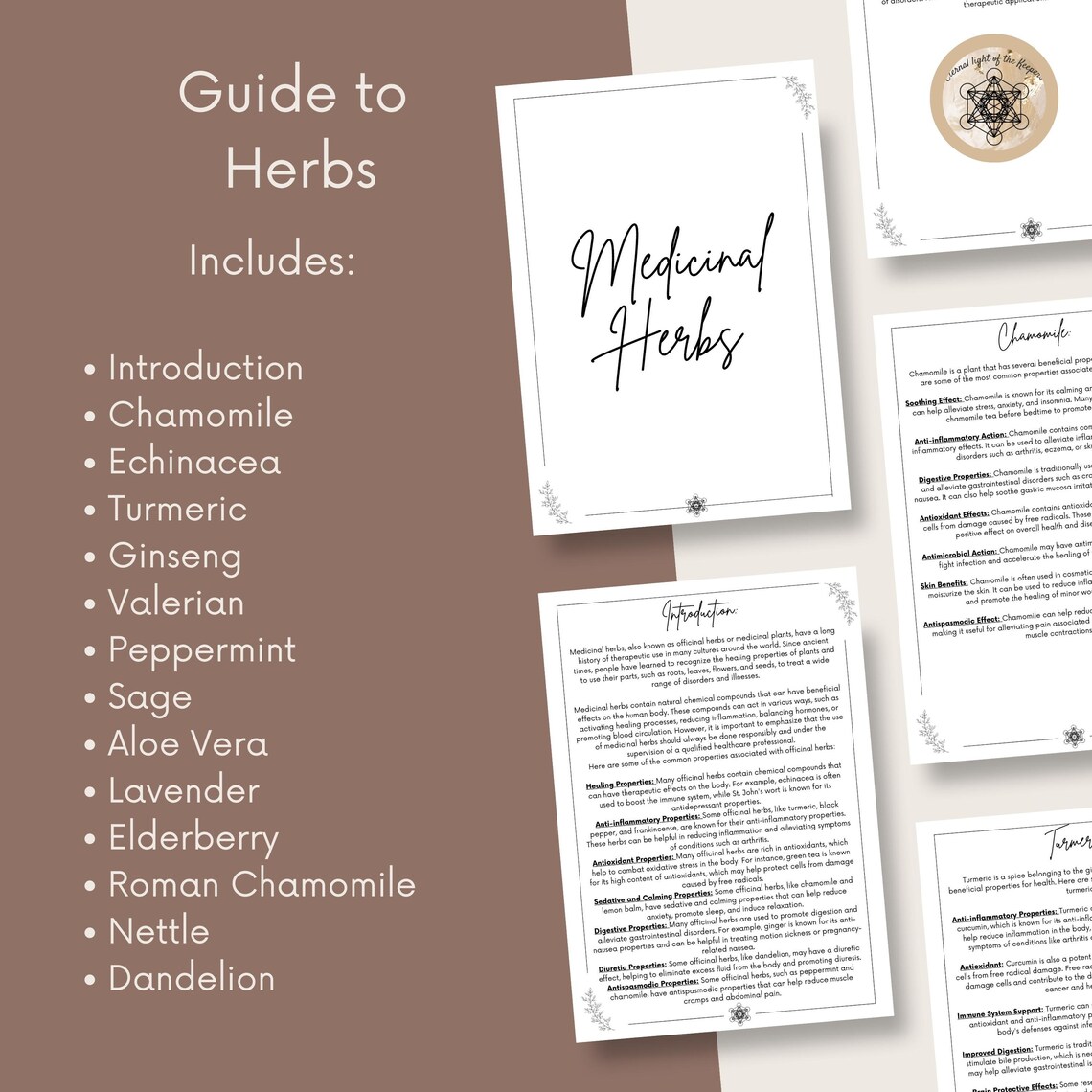 Printable Herbal Medicine Guide: A4 PDF on Medicinal Herbs, Herbal ...
