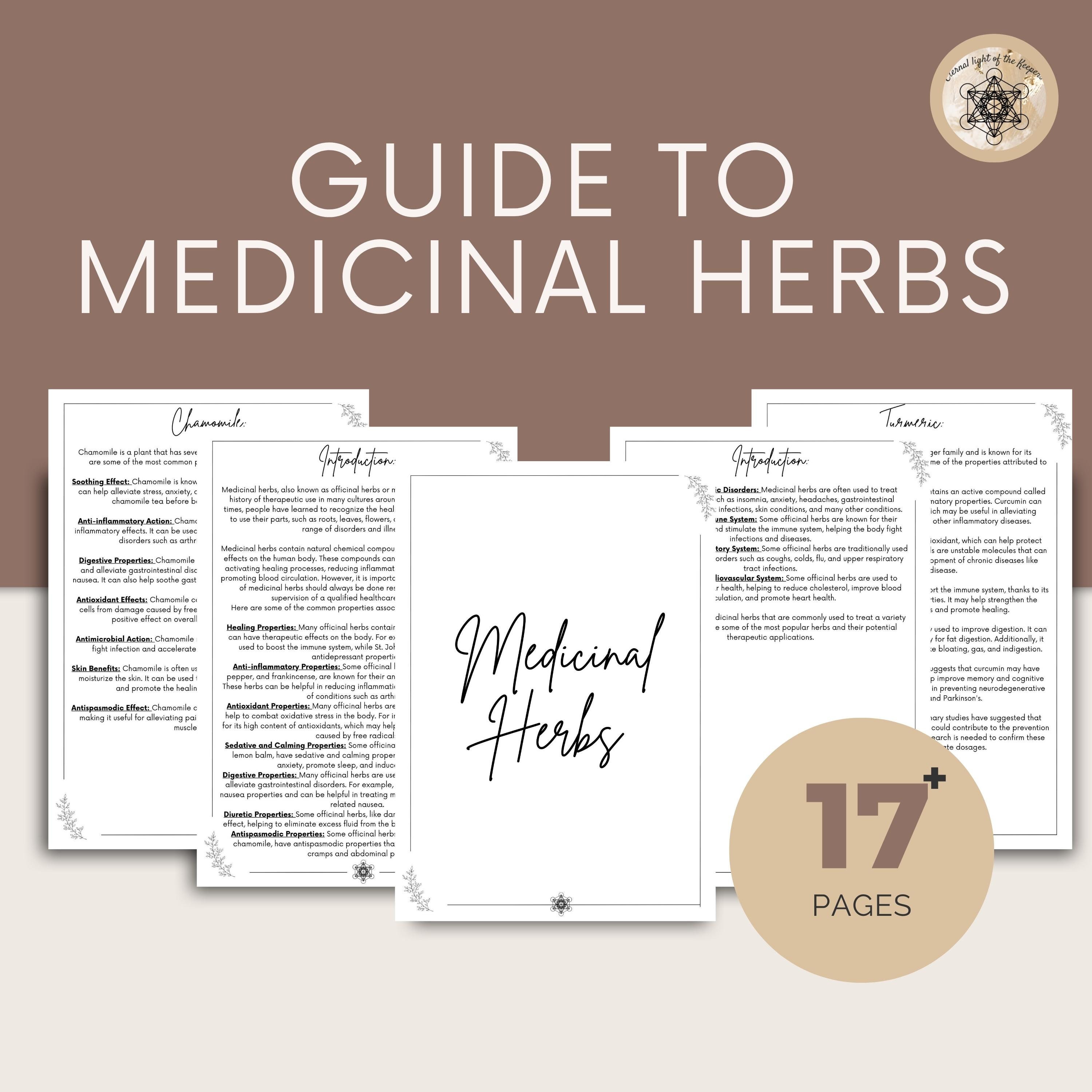 Printable Herbal Medicine Guide: A4 PDF on Medicinal Herbs, Herbal ...