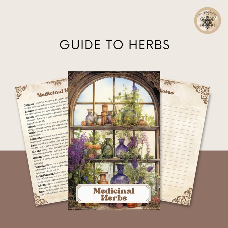 Printable Herbal Medicine Guide: A4 PDF on Medicinal Herbs, Herbal ...