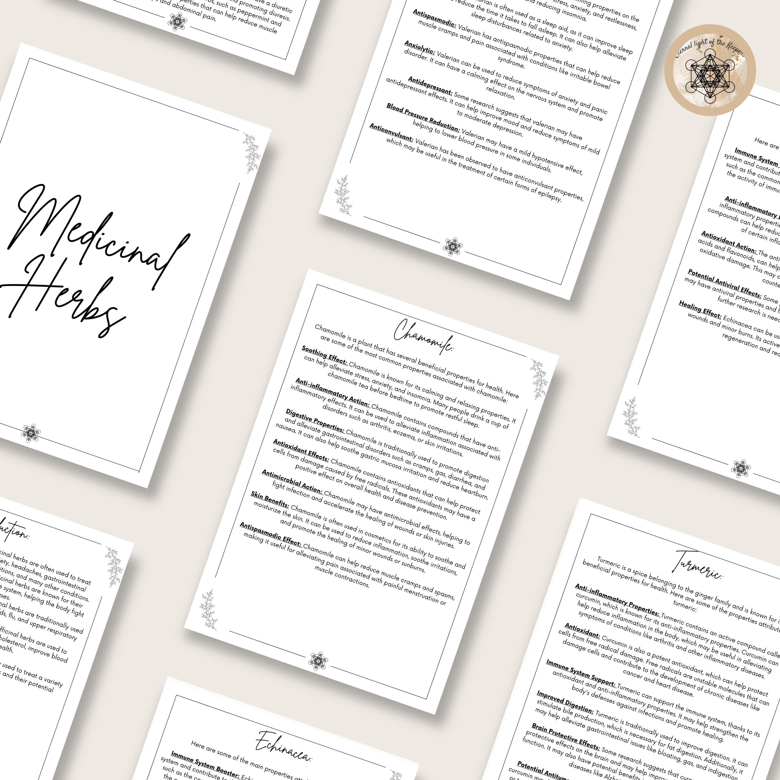 Printable Herbal Medicine Guide: A4 PDF on Medicinal Herbs, Herbal ...