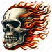 Fire Skull PNG, Clipart, Flaming Skeleton, Skull Halloween, Digital ...