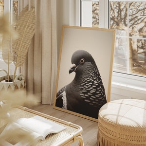 Pigeons, Pigeon Gift, Bird Poster, Bird Lover Gift, Gift for Art ...