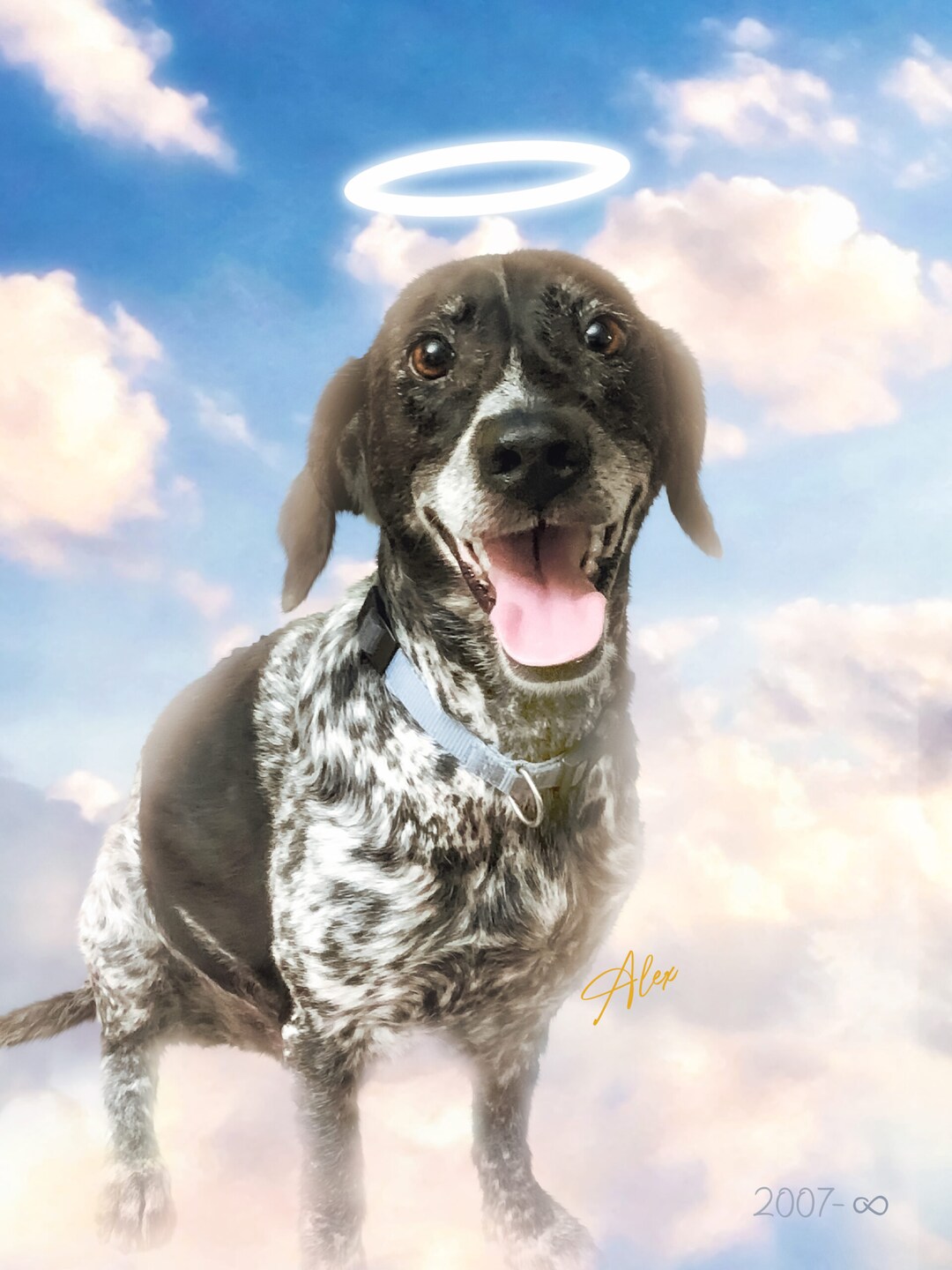 Custom Angel Pet Portrait, Angel Cat Painting, Pet Loss Gift, Angelic ...