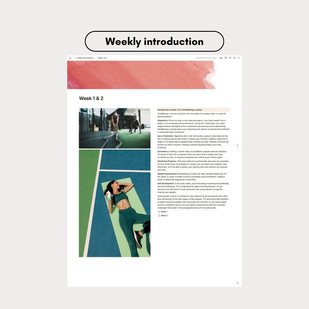 Notion Template Workout Plan Notion Templates Exercise Planner Workout ...