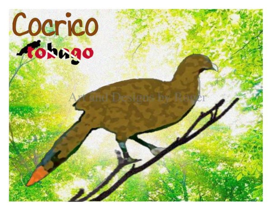 Tobago National Bird Cocrico Printable Art PNG - Etsy