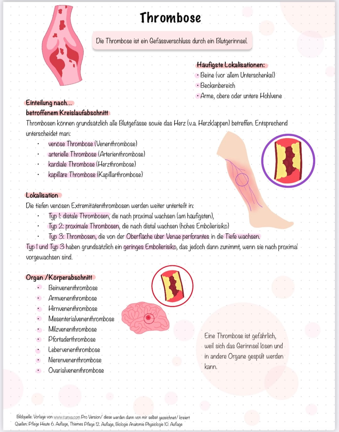 Learning Sheet Bundle Thrombosis/thrombosis Prophylaxis - Etsy