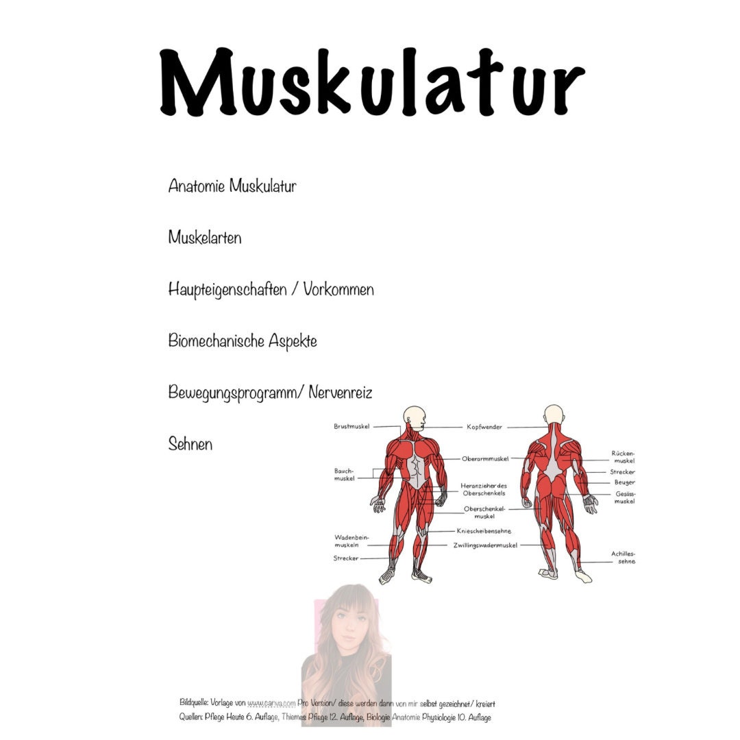 Learning Sheet for Muscles - Etsy