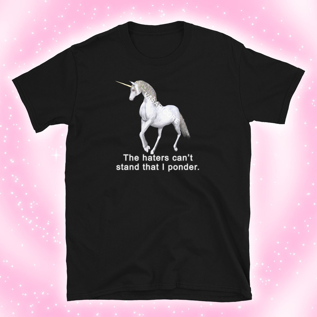 The Haters Can't Stand That I Ponder Whimsigoth Whimsical Funny Meme ...