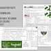 Editable Canva Graduation Fun Facts Poster, Class of 2025 | Printable ...