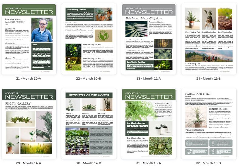 Business Newsletter Template: Canva Flyer Marketing Set - Etsy