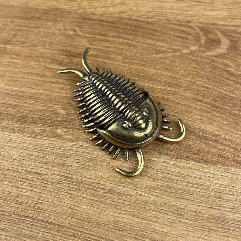 Solid Brass Cambrian Trilobite - Small Ornament Statue - Miniature ...