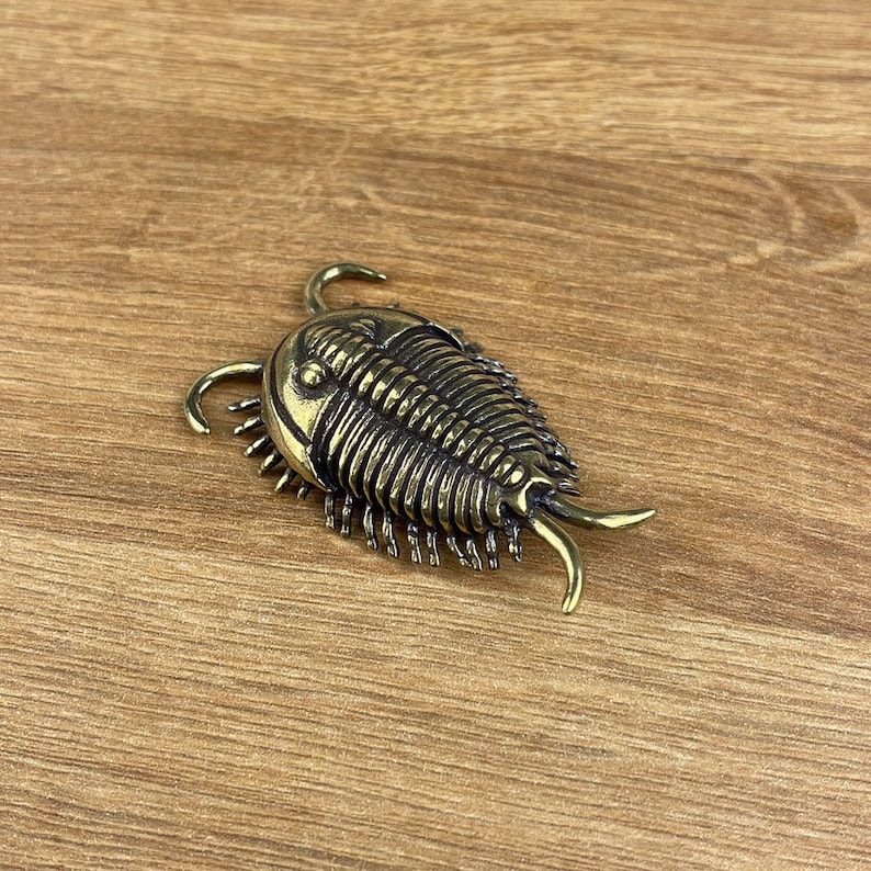 Solid Brass Cambrian Trilobite - Small Ornament Statue - Miniature ...