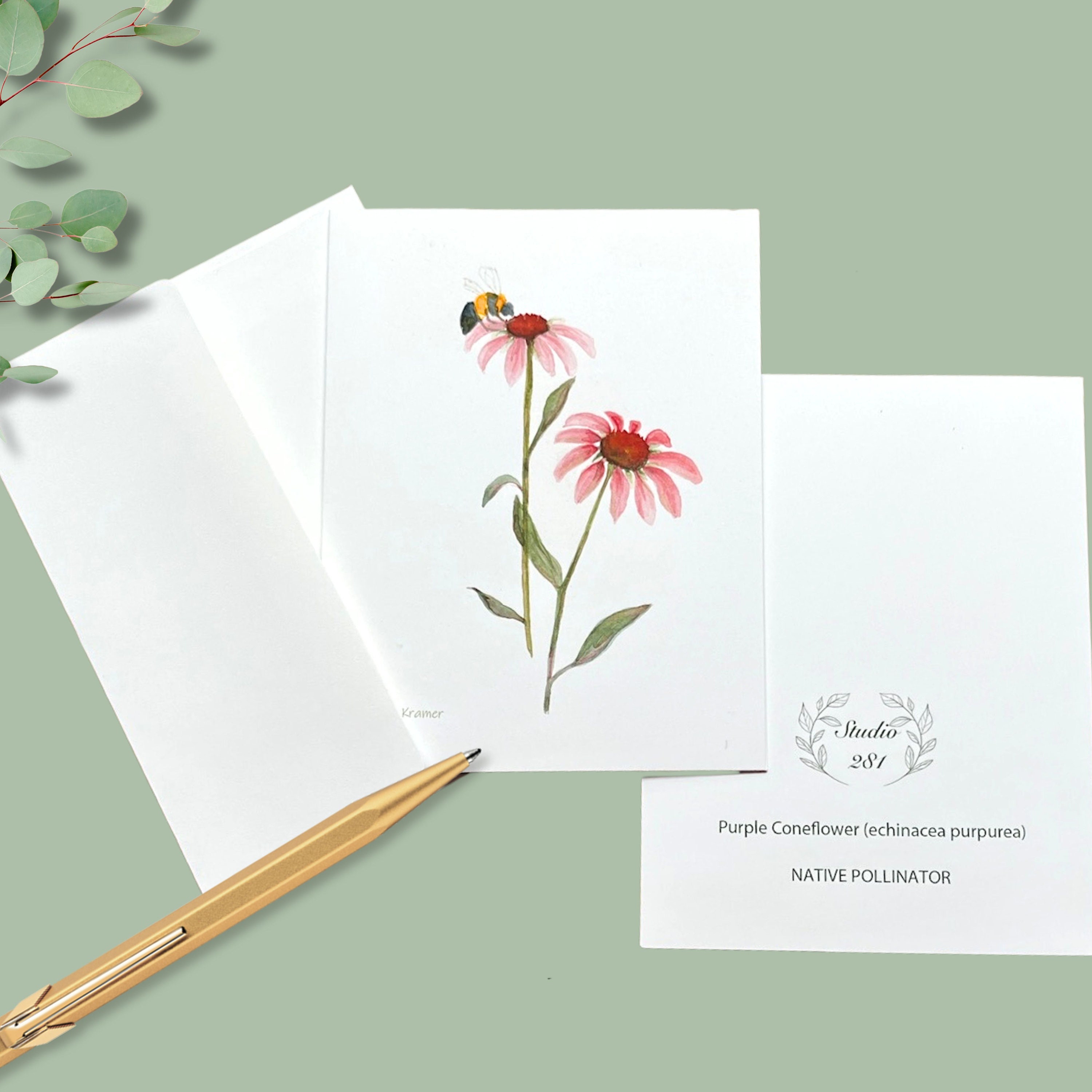 Native Flower Watercolor Note Card Assortment Set of 8 - Etsy