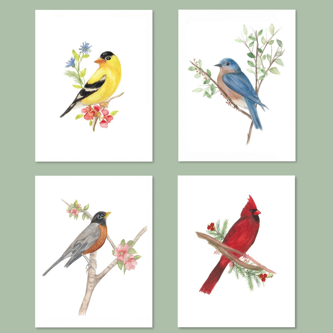 Bird Note Cards Assortment Set, 4.25 X 5.5 - Etsy