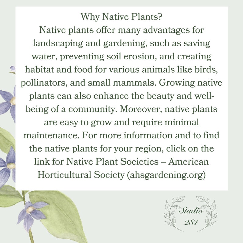 Note Cards, Native Summer Flowers Field, 4.25" X 5.5" With Envelopes ...