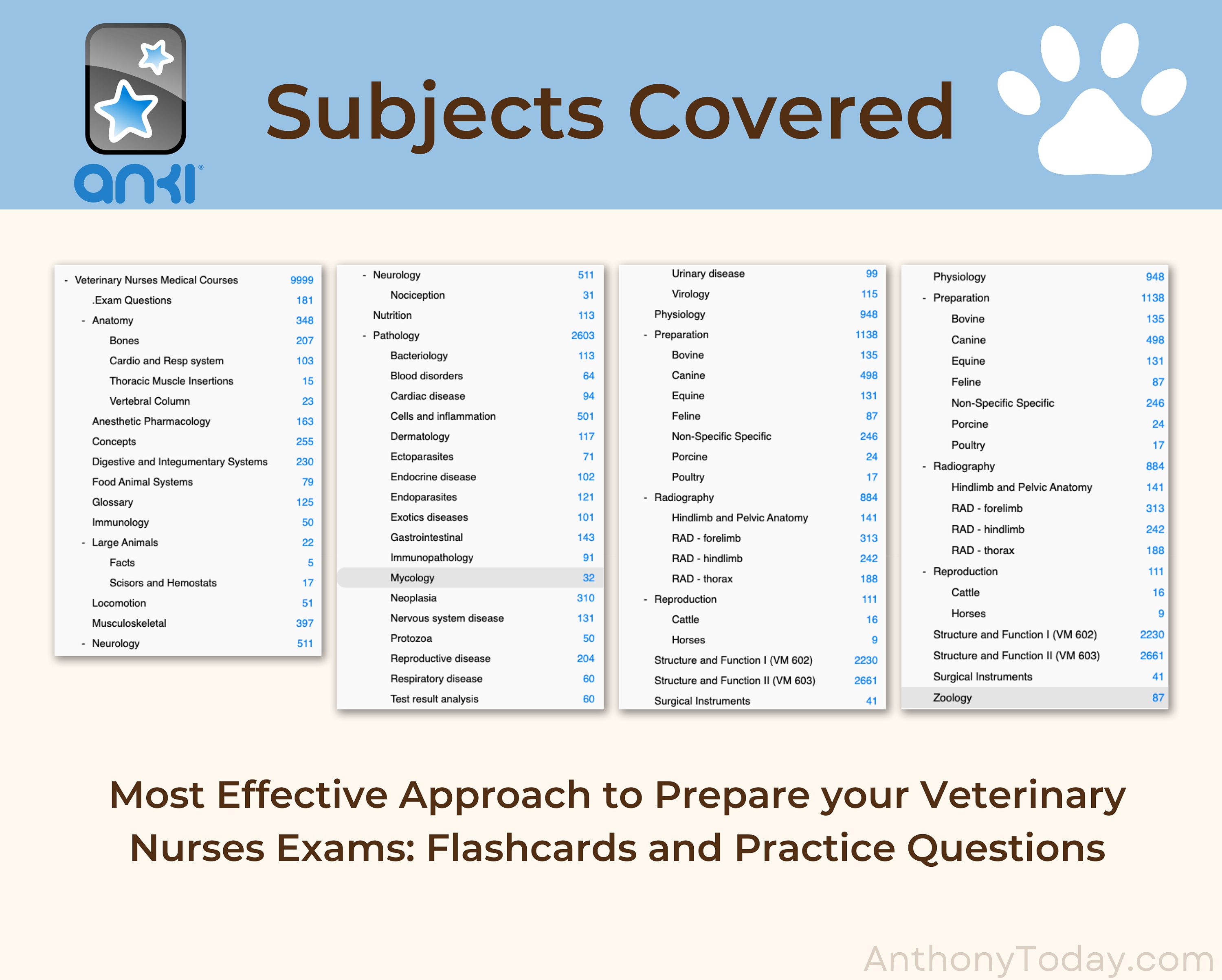 Ultimate Veterinary Nurses School Bundle Flashcards Anki Cards Vet Med ...