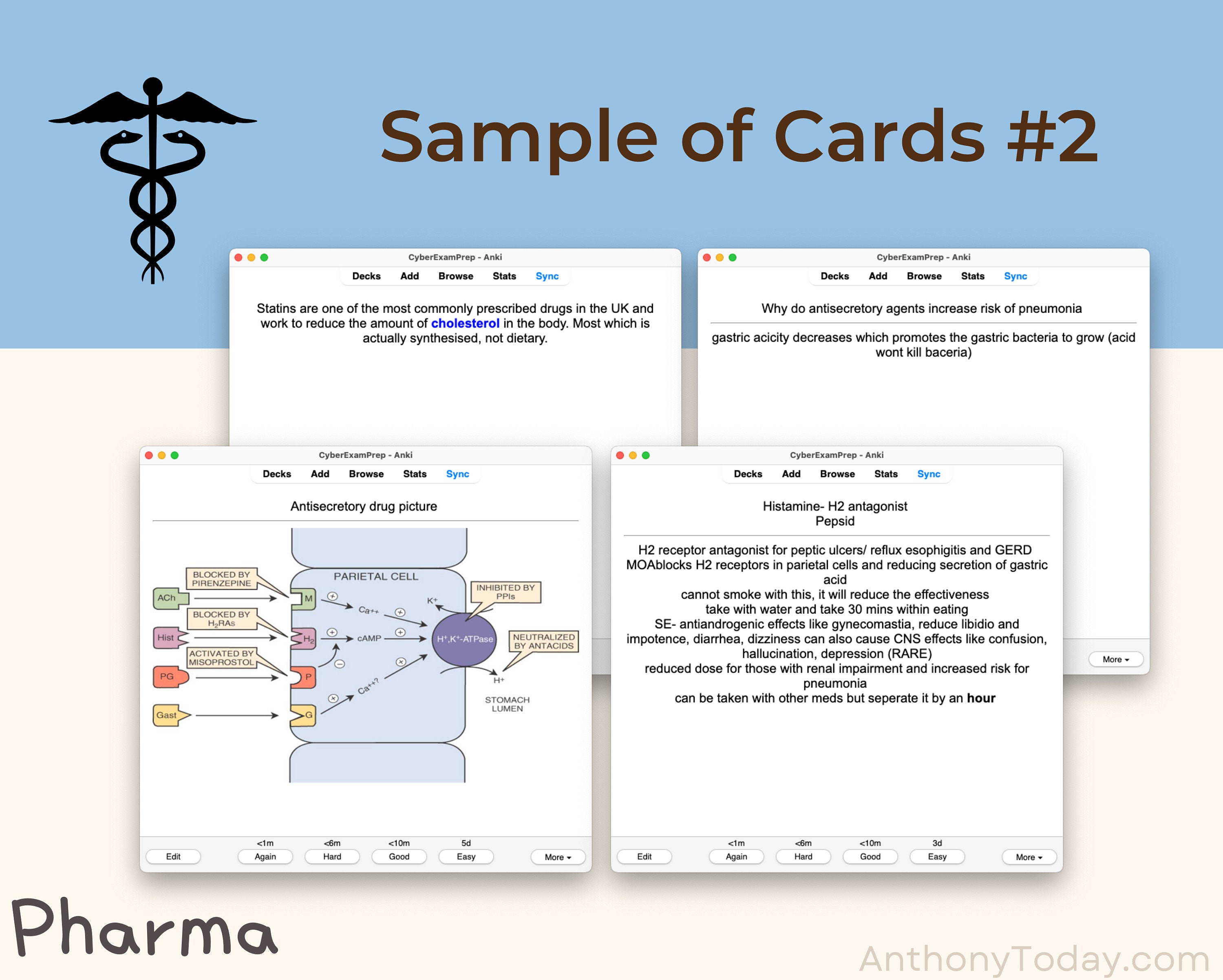 Ultimate Pharmacology Flashcards Bundle 2024 Medical Notes Anki Cards ...