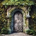 24 Majestic Castle Door Backgrounds With Ivy - Ultra Realistic ...