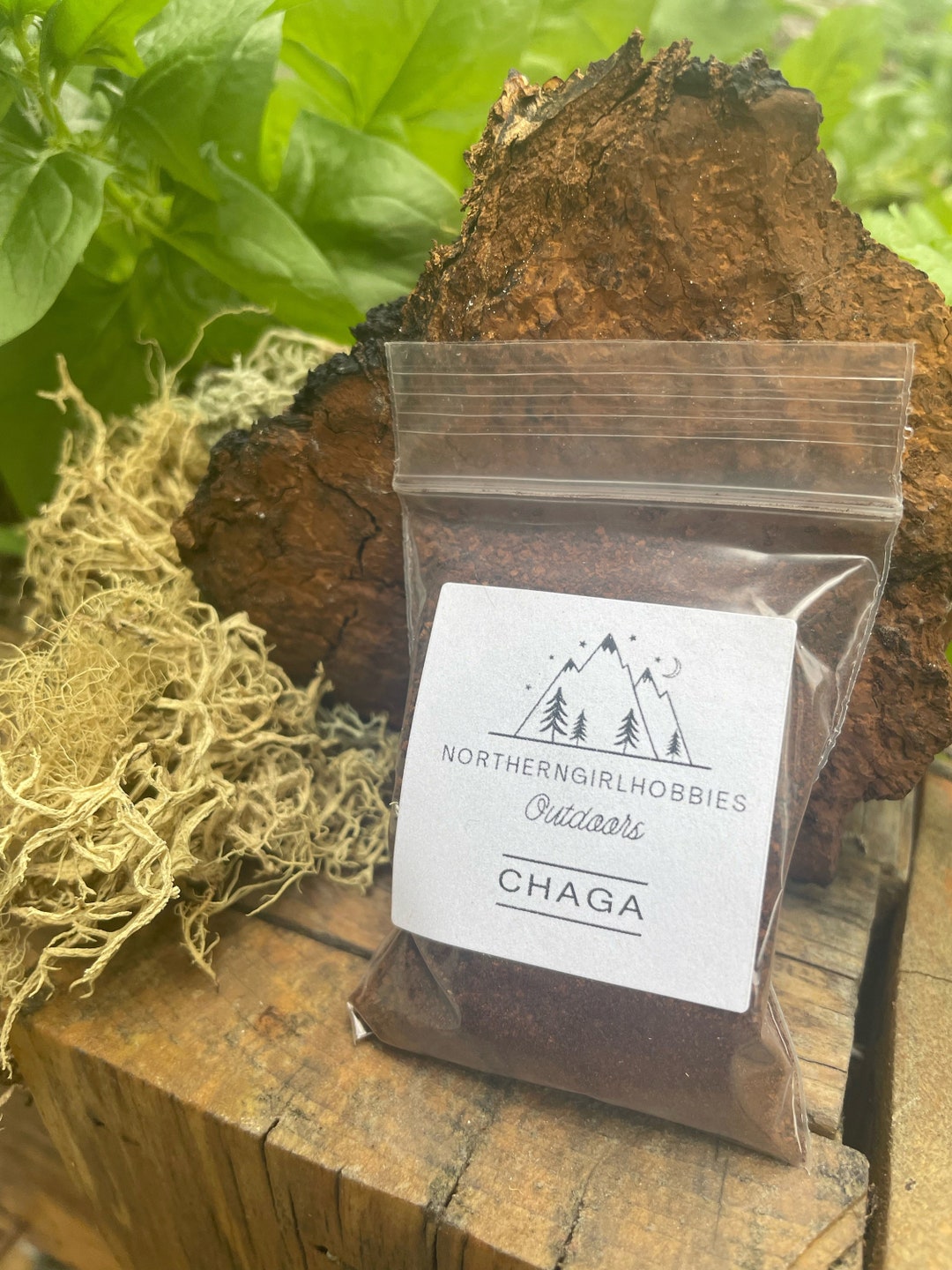 FREE SHIPPING Birch Chaga Mushroom Powder 1/2 Ounce - Etsy