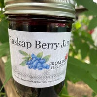 Red Huckleberry Jam, 1 Jar, 8 Oz, Red Whortleberry Jam, Red Bilberry ...