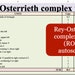 Rey–osterrieth Complex Figure Test (ROCF) Autoscoring Template in Excel ...