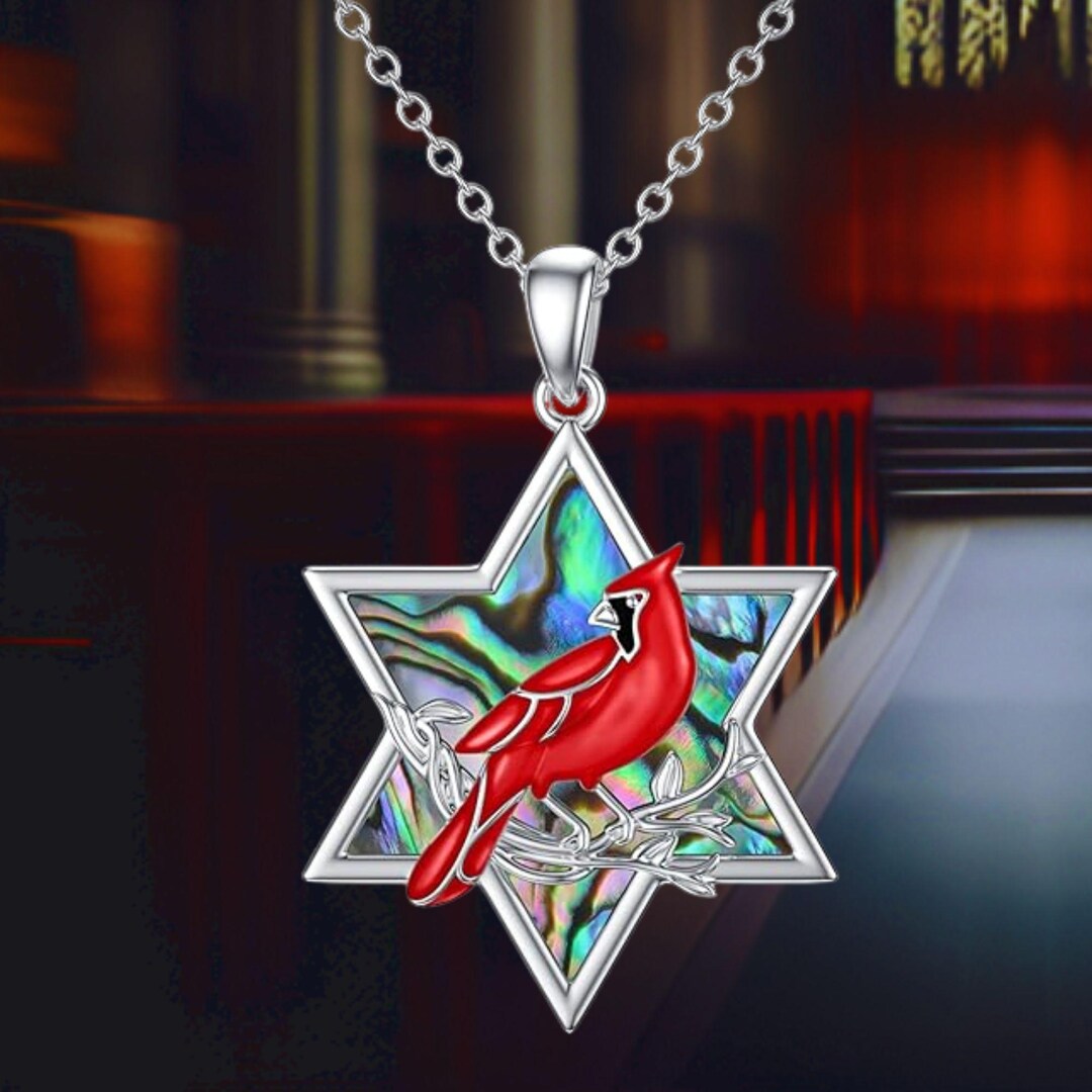 Sterling Silver Star of David Cardinal Pendant Necklace Sympathy ...