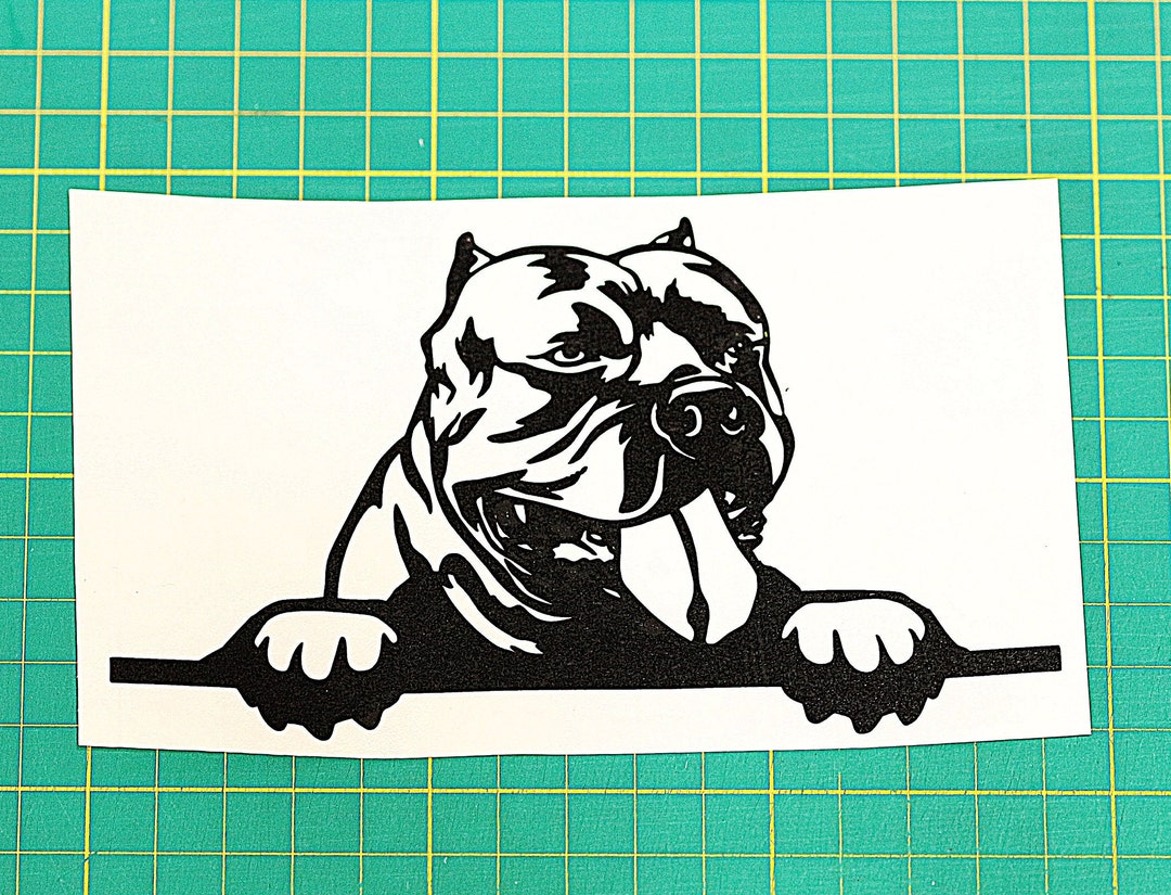 XL Bully Bull Terrier Peeking on Board Car Bumper Window Sticker ...
