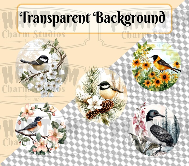 State Birds Clipart Bundle | Watercolor, All 50 United States, North ...