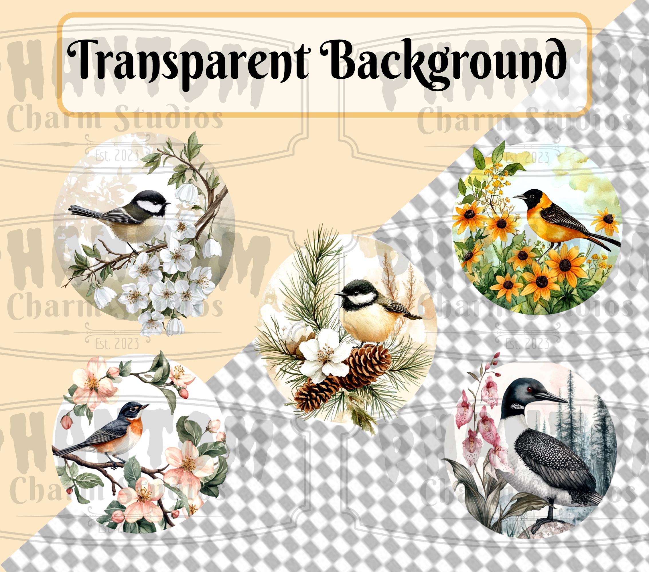 State Birds Clipart Bundle | Watercolor, All 50 United States, North ...