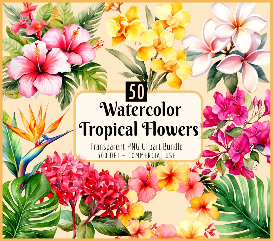 Watercolor Tropical Flowers Clipart Bundle I Exotic Floral, Summer ...