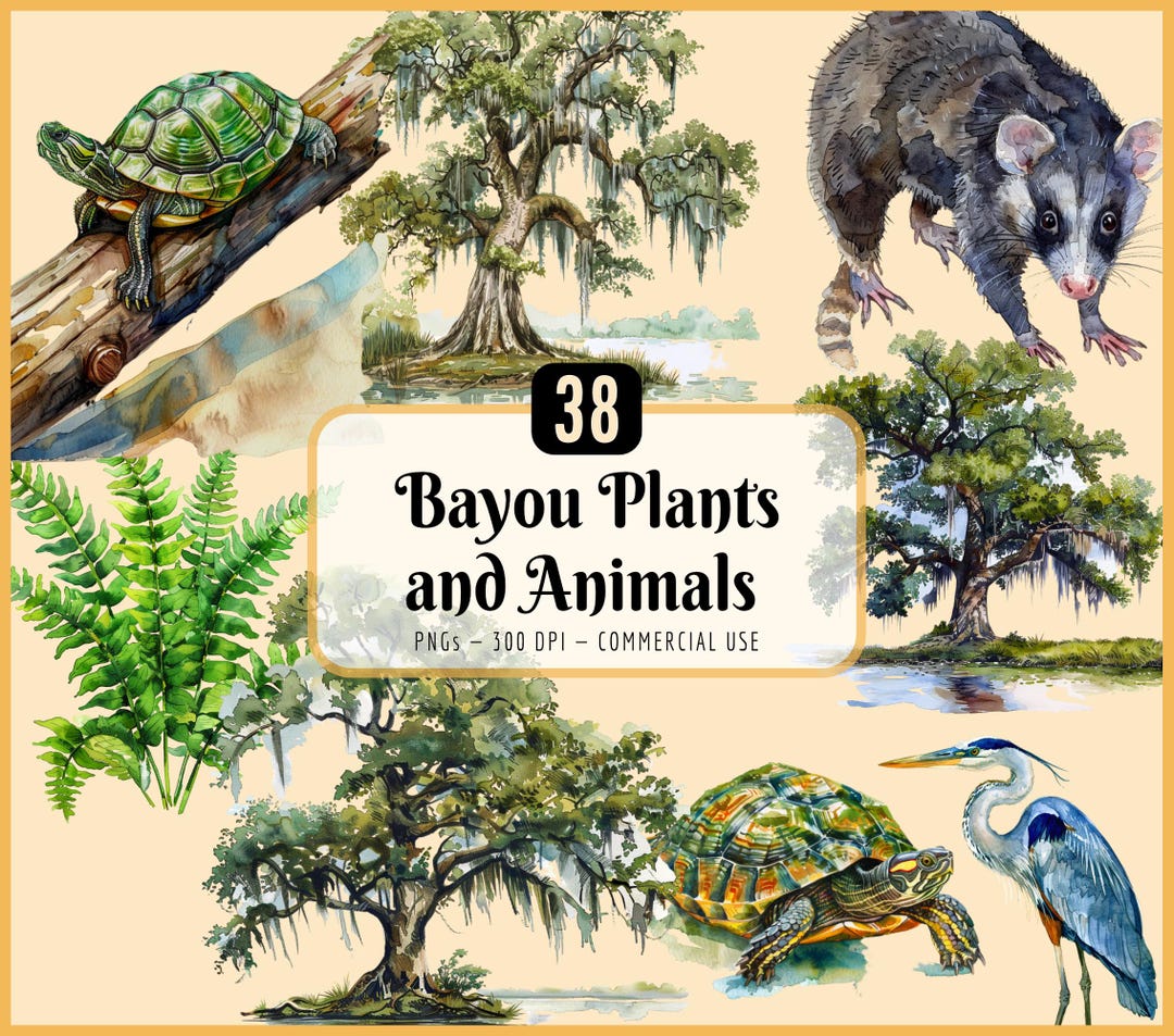 Bayou Plants and Animals Clipart Bundle I Southern Landscape Botanical ...