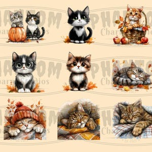 Autumn Cats Clipart Bundle | Watercolor, Cozy Fall Graphics, Pumpkins ...